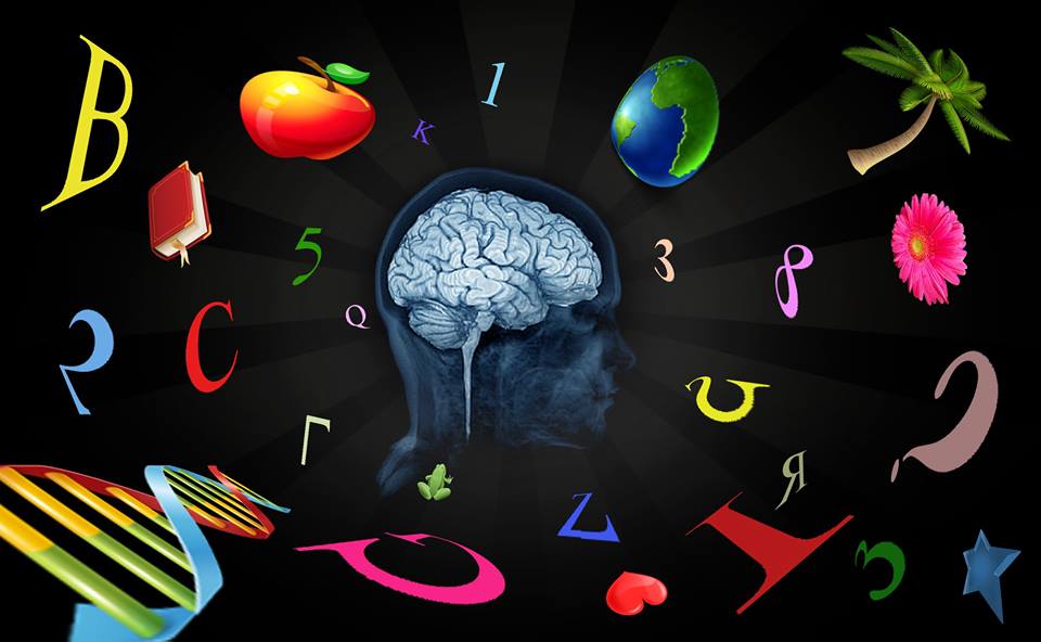 Neuroscience Articles | Finding Neuron