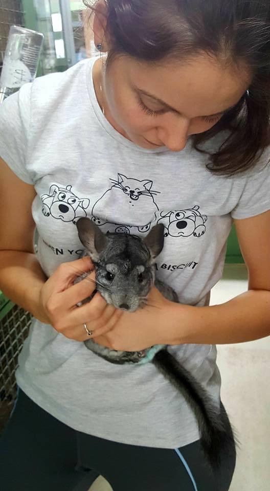 Animals are more than we think: Empathy and social intelligence in ...