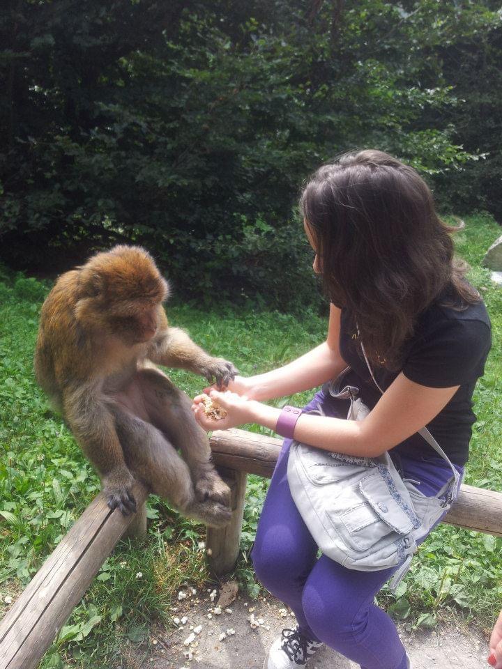 Animals are more than we think: Empathy and social intelligence in ...